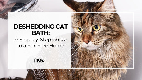 Deshedding Cat Bath: A Step-by-Step Guide to a Fur-Free Home – Moe Puppy