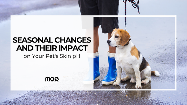How Seasonal Changes Affect Your Pet's Skin pH level – Moe Puppy