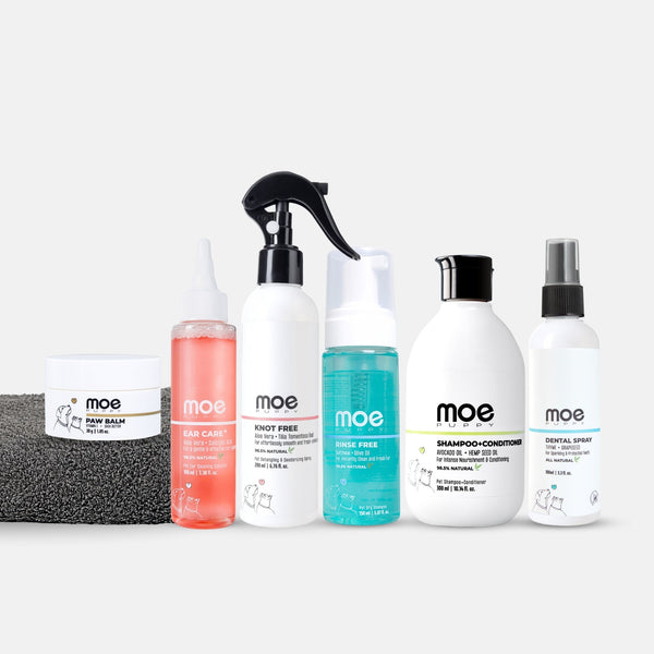Moe's Premium Kit – Moe Puppy
