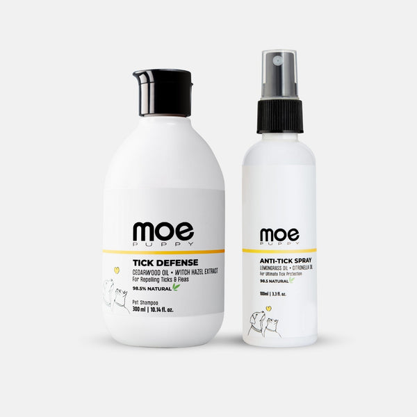 Tick & Fleas – Moe Puppy