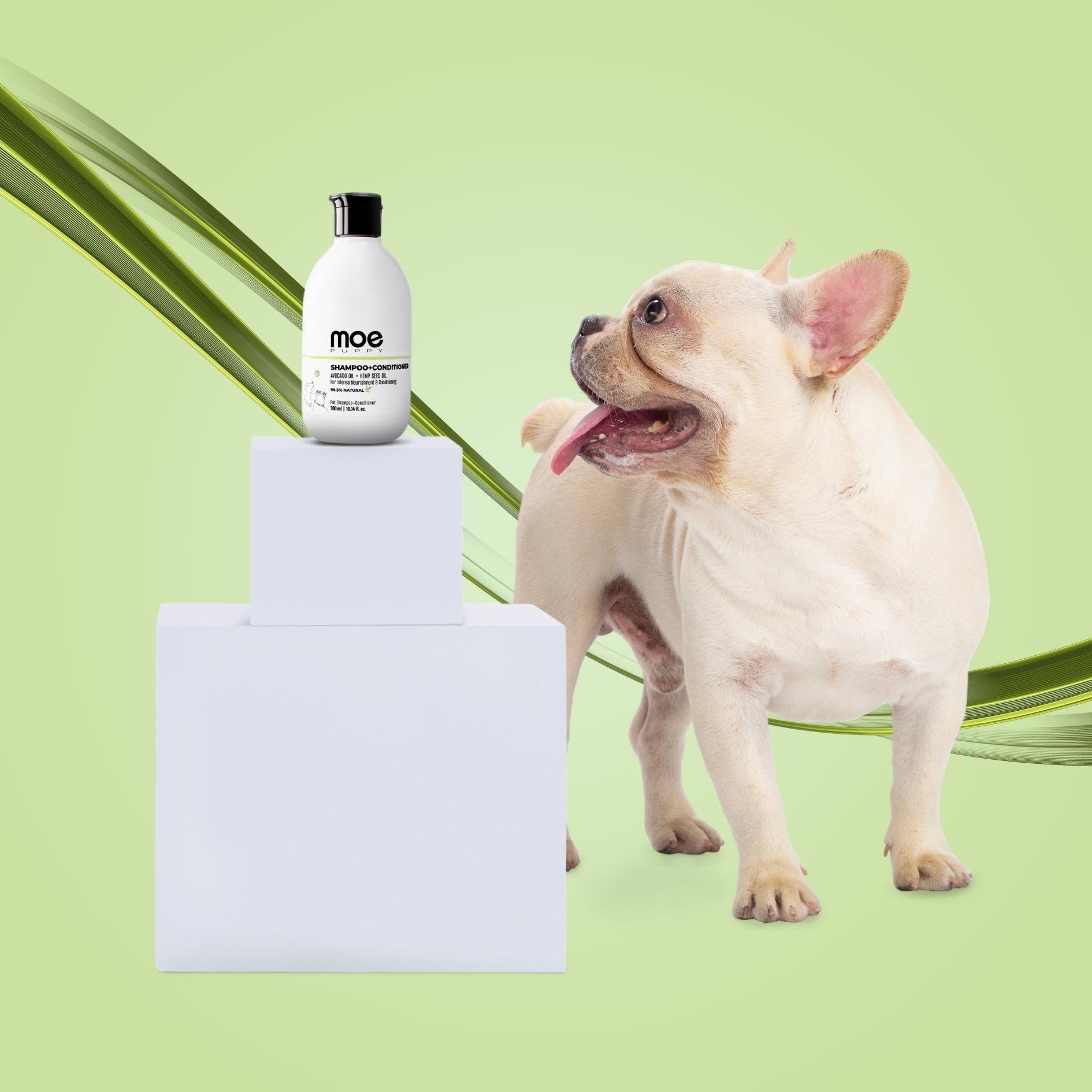 Buy Moepuppy No Rinse Waterless Pet Dry Shampoo India- 150ml – Moe Puppy