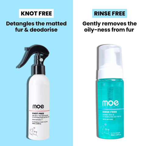 Buy Online Waterless pet grooming kit for Winters – Moe Puppy