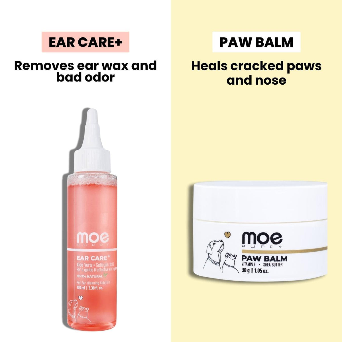 Buy Online Waterless pet grooming kit for Winters – Moe Puppy
