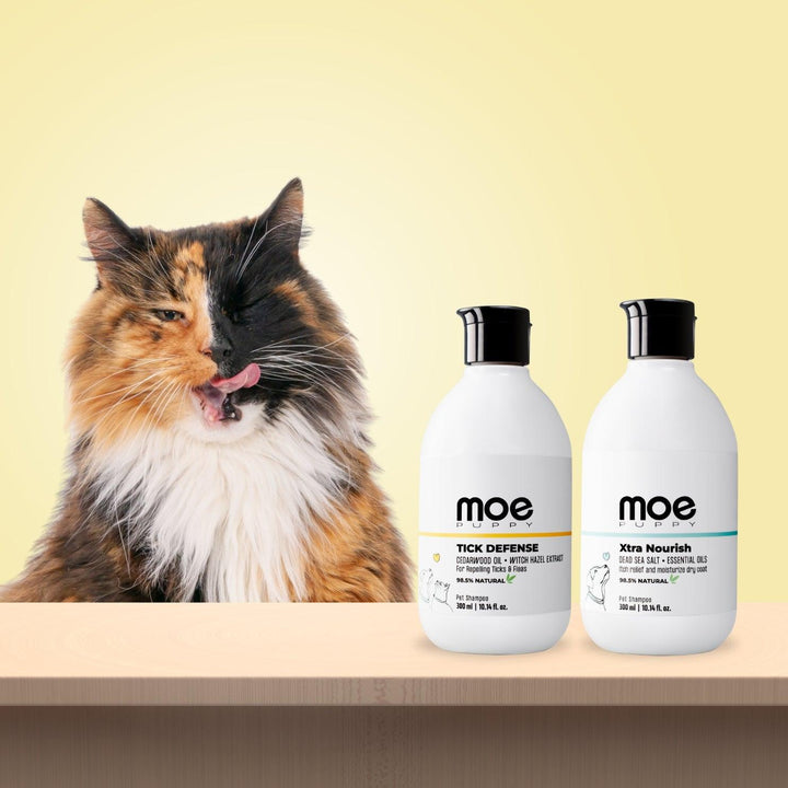 Moepuppy | Online Pet Care Products Store India | Shop Now! – Moe Puppy