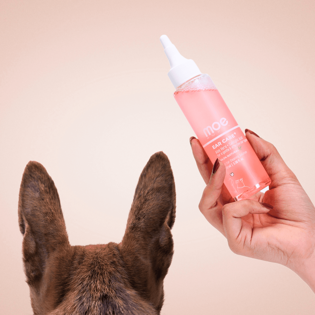Buy Keratin Plus Pet Shampoo | Best Dog Shampoo India – Moe Puppy