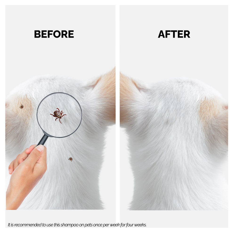 Tick Defense - Tick Free Shampoo for Dogs and Cats – Moe Puppy